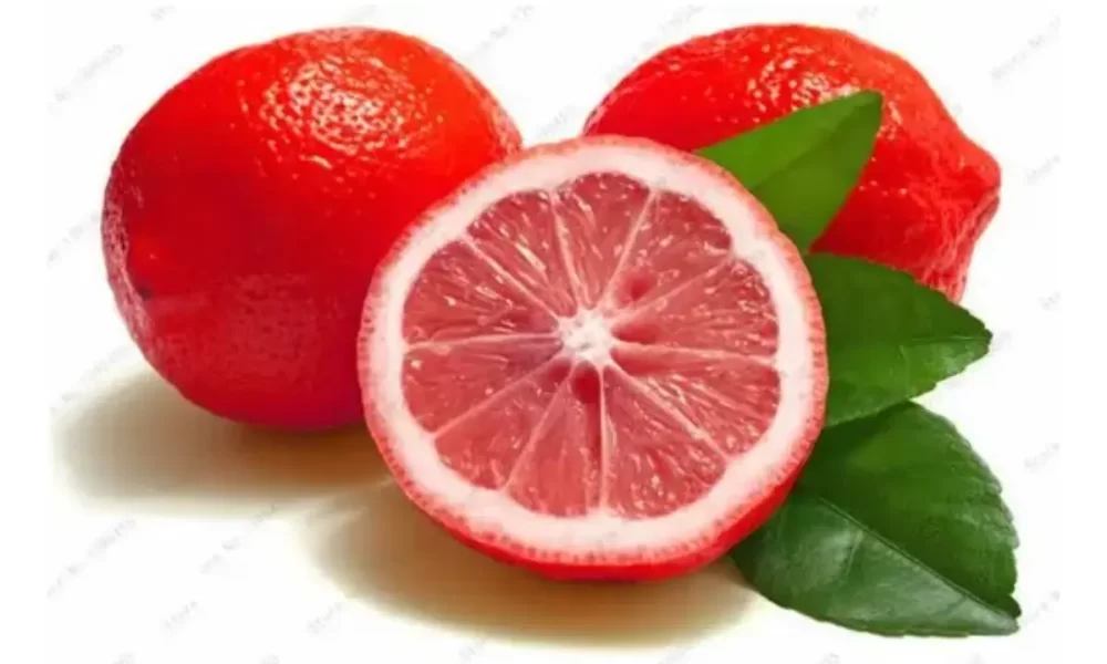 சிவப்பு எலுமிச்சை பற்றி உங்களுக்கு தெரியுமா? அதிக லாபம் தரும் அரிய வகை ...